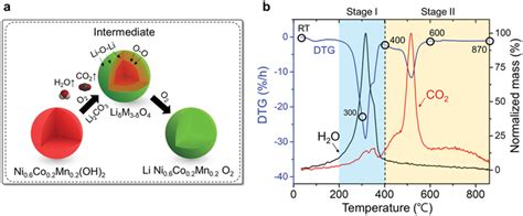 Concept Of Chemical Heterogeneity‐induced Intermediate Formation During