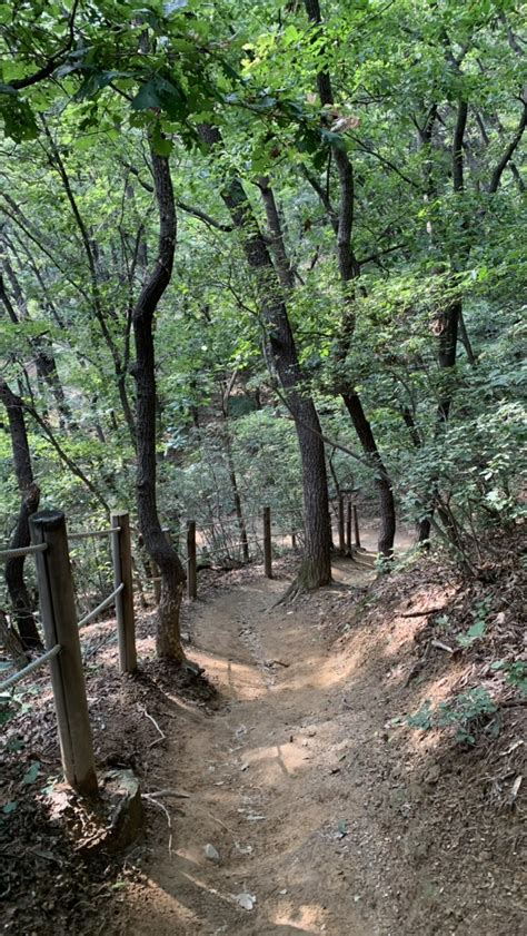 숲 속을 걸어요