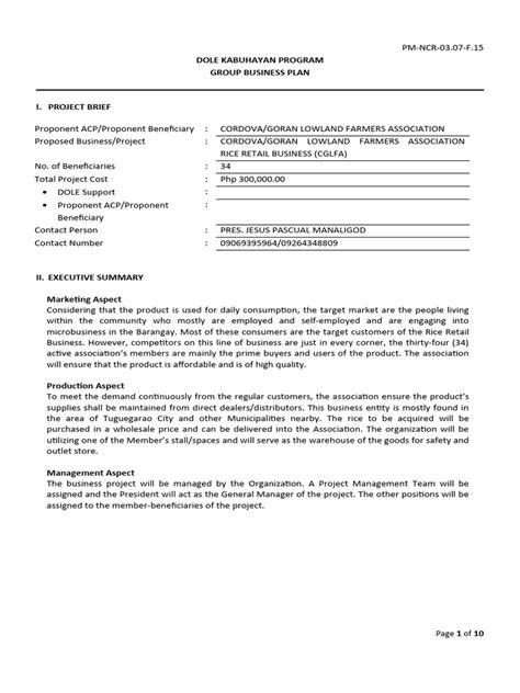 Dilp Group Project Proposal Business Plan For Informal Pdf