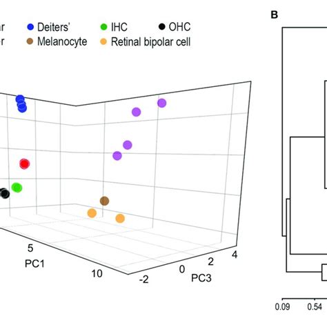 Similarity Measures Of Gene Expression Profiles Among Different Cell