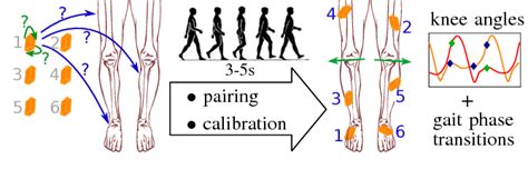 Figure 1 From User Adaptive Inertial Sensor Network For Feedback Controlled Gait Support Systems