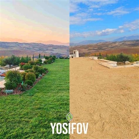 Фирма за Озеленяване Двор и Градинa Разсадник Йосифов