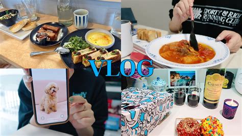 하와이 Vlog 새로운 가족 맞이 한국에서 강아지 데려오기 반려견 준비물 토마토 스튜 Youtube