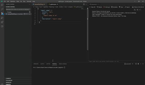 User Snippets In Interactive Window Input