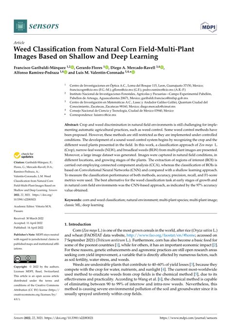 PDF Weed Classification From Natural Corn Field Multi Plant Images Based On Shallow And Deep