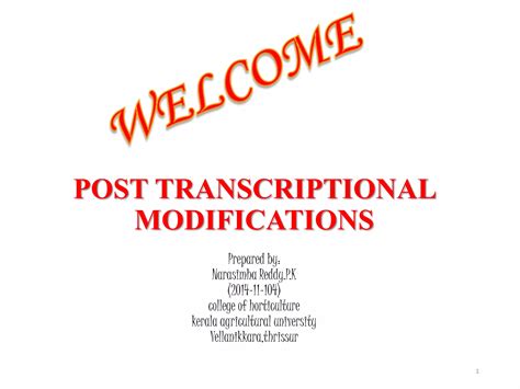 Post Transcriptional Modifications Pptx Programming Languages