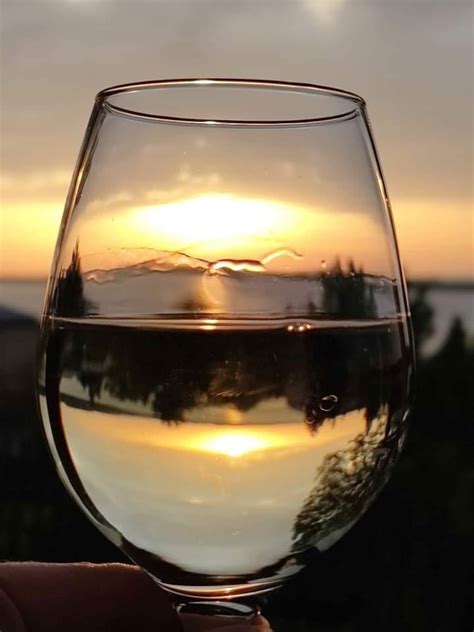 Магазин за цветя и Магазин за цветя и подаръци ЗАХИР