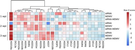 Cluster Analysis Of Gene Expression Based On The Log2 Relative