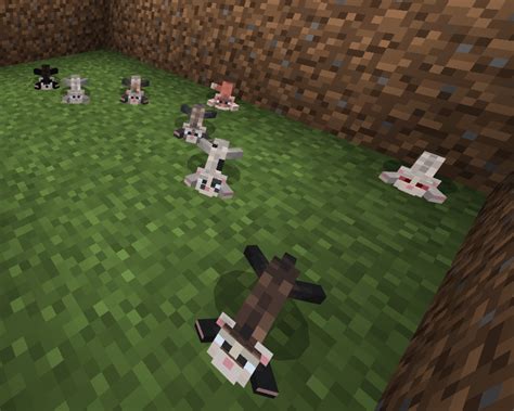 addon resource pack nimations not working in realms or for other