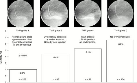 Timi Bleeding Senturintrends