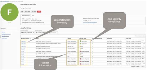 Announcing Java Management Service