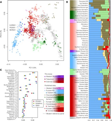 Principal Component Admixture Analyses And Hg Outgroup F Download Scientific Diagram