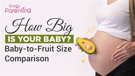 Fetal Development Week By Week Size Comparison With Fruits And
