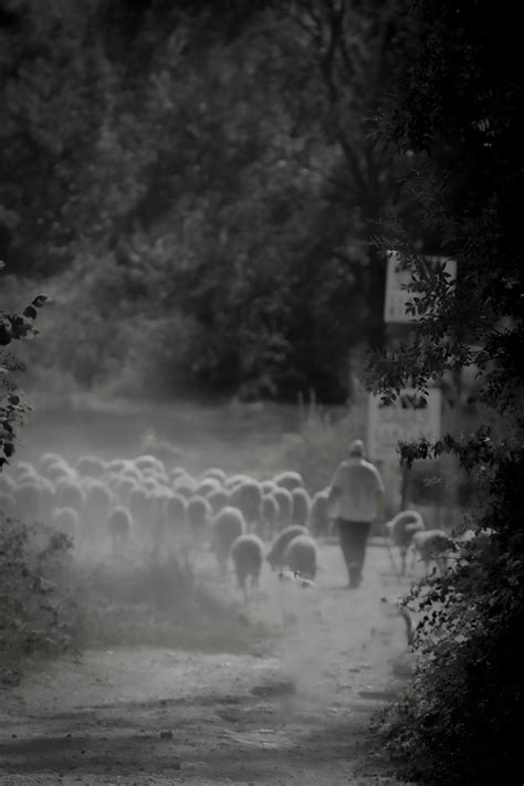 Sedat Yetiş Photography