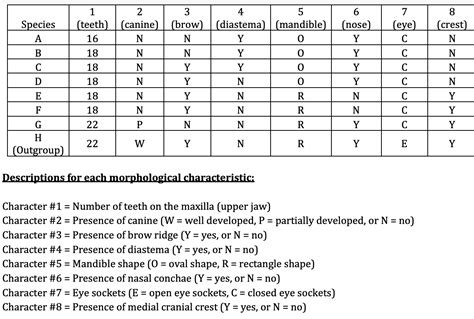 You Are A Paleontologist Attempted To Reconstruct A