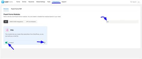 Drip Integration With Fluent Forms Fluent Forms
