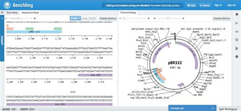 Autodesk Genetic Constructor Design And Manufacture Living Things Autodesk BioNano