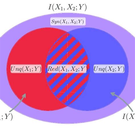 Partial Information Decomposition For Two Predictor Variables And A Download Scientific Diagram