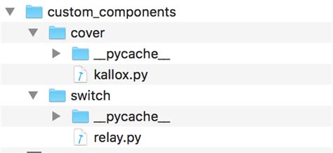 custom components using rpi gpio fail home assistant os home
