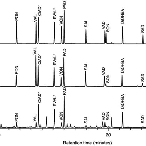 Selected Chromatograms Of A A 40 Pmol μl Standard Mixture B Peat Download Scientific