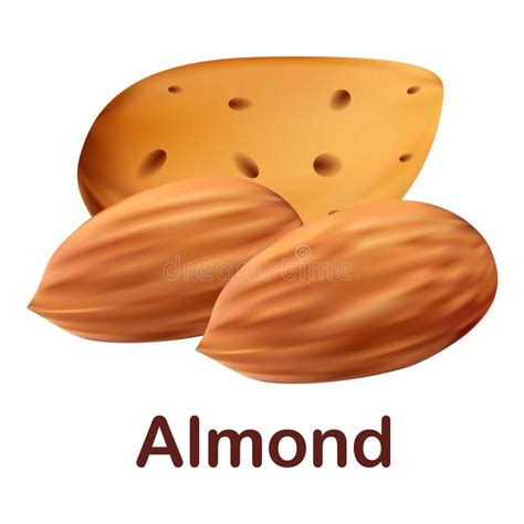Almond Icon Realistic Style Stock Illustration Illustration Of Kernel Isolated 123299481