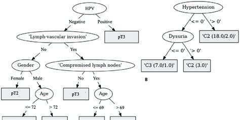 Classification Tree Structure And Its Performance In Determining Tumor