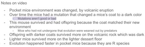 Biology 2 Unit 1 Unit 6 Flashcards Quizlet
