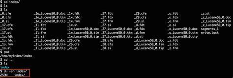 solr load lucene index datafireball