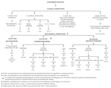 Genetic Algorithm For Pheopgl Testing Adapted From Karasek Et Al