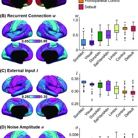Spatial Distribution Of Recurrent Connection Strength W External Input