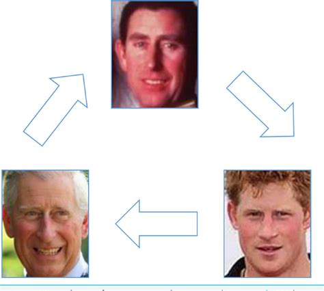 Figure 14 From Kinship Verification And Recognition Based On Handcrafted And Deep Learning