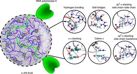Multiple Residue Types And Interaction Modes Contribute To
