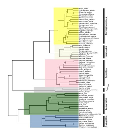Plot Of Chunk Post 2017 05 Ggtree Clades2