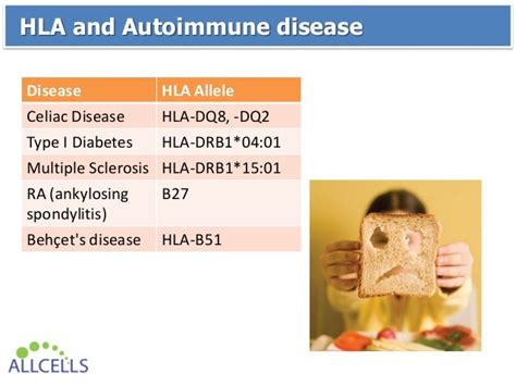 Donor Hla Typing 101