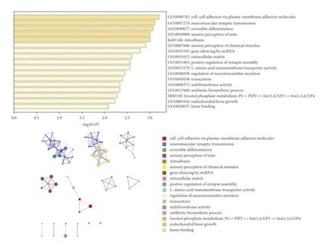 gene expression correlation and enrichment analysis showing the