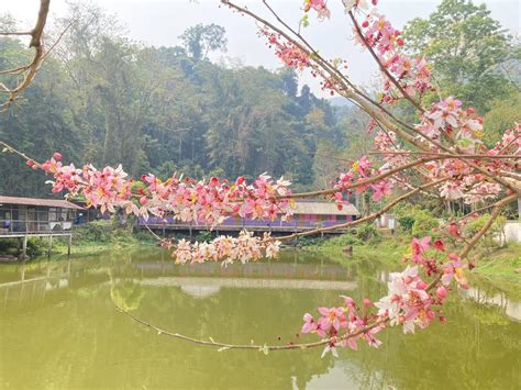 ภูพญาโฮมสเตย์ ภูพญาโฮมสเตย์ Added A New Photo — At