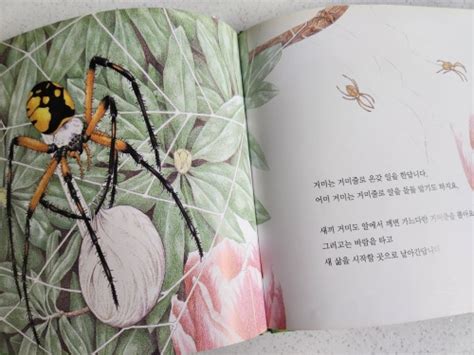 Pic 5 반딧불 과학그림책 멋진 거미