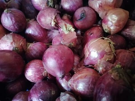 Agriculture Nutgrass Weedcontrol Sustainablefarming Soilhealth