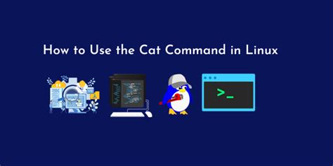 How To Use The Cat Command In Linux With 22 Practical Examples Serverconfig Net