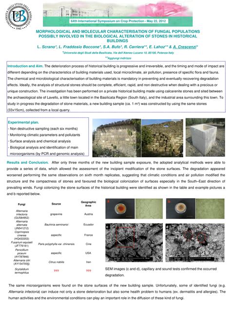 Pdf Morphological And Molecular Characterisation Of Fungal Populations Possibly Involved In