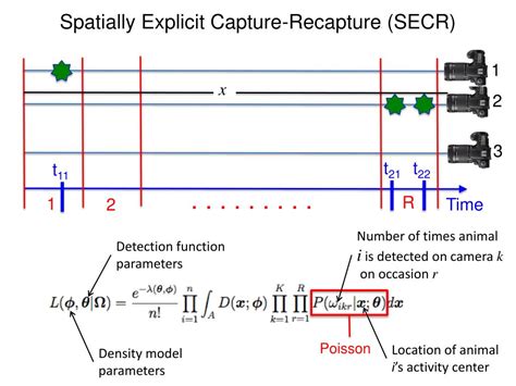 Ppt Survival Models Without Mortality Powerpoint Presentation Free Download Id7032308