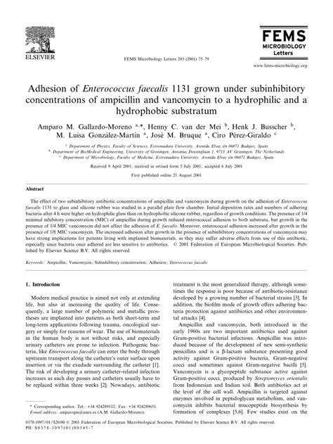 Pdf Adhesion Of Enterococcus Faecalis 1131 Grown Under Subinhibitory Concentrations Of