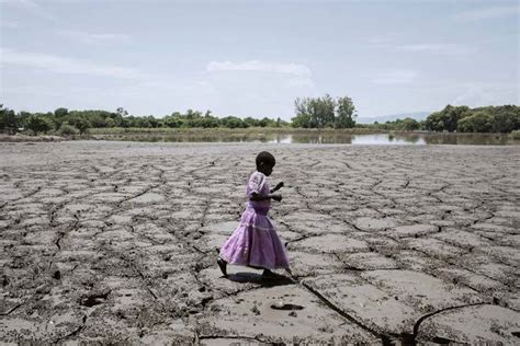 ¿qué Es La Degradación Del Suelo Ejemplos 5 Ejemplos Impactantes De