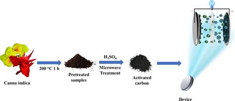 Schematic Illustration Of Activated Carbon Synthesis Download Scientific Diagram