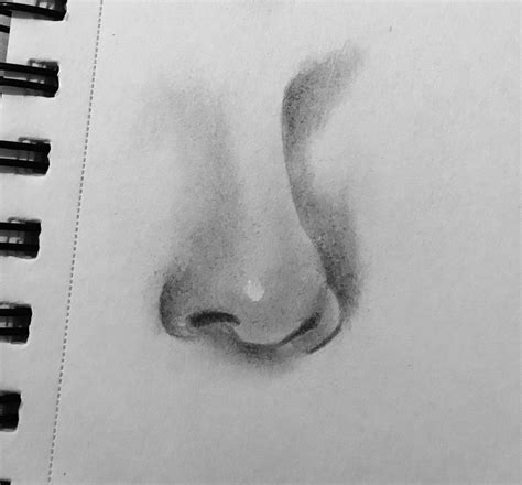 First Attempt At A Somewhat Realistic Nose R Drawing