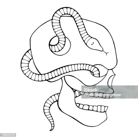 벡터 흑백 손으로 그린 그림의 두개골 뱀 치아 실루엣 얼굴의 인간 인쇄 공포 의 T 셔츠 멕시코 스타일 죽은 자의 날 할로윈 스케치 낙서 그리기 T 셔츠에 대한 스톡 벡터