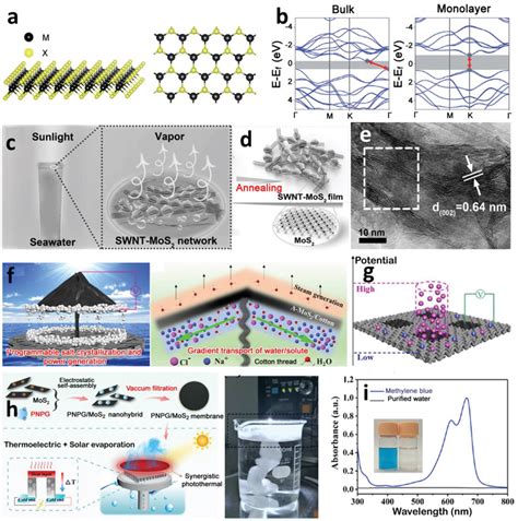 A A Hexagonal Monolayer Structure Of Semiconducting 2h‐phase Tmds B