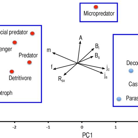 Fig Sc1 Principal Components Biplot Of Generic Consumer Strategies