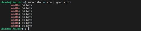 How To Check CPU Is Bit In Linux System LinuxWays