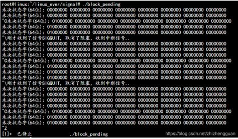 Unixlinux编程：信号 未决”和 阻塞”and信号集讨论未决信号向量与阻塞信号向量他们是做什么的 Csdn博客